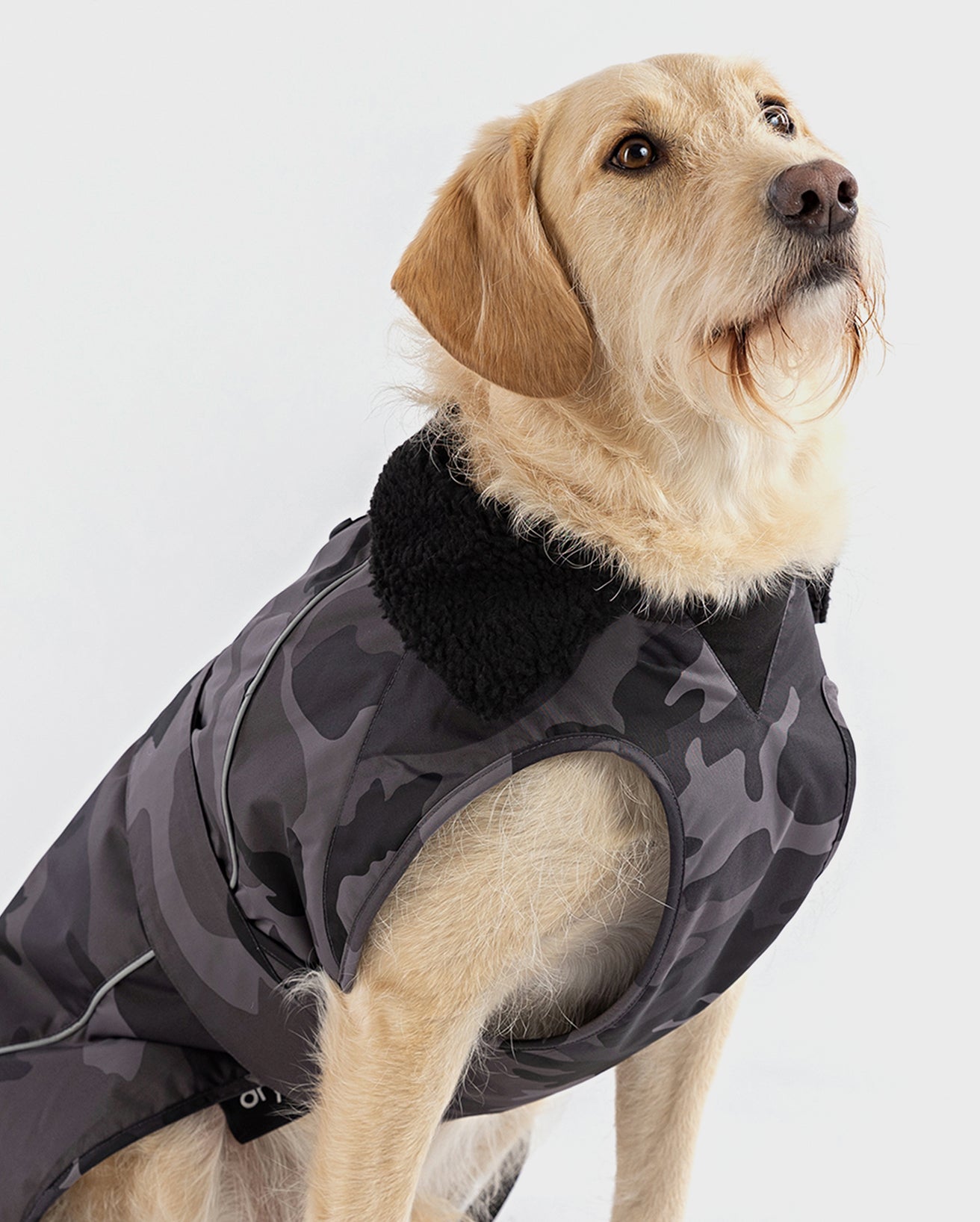 Dog Drying Coats, Robes & Towels - dryrobe®