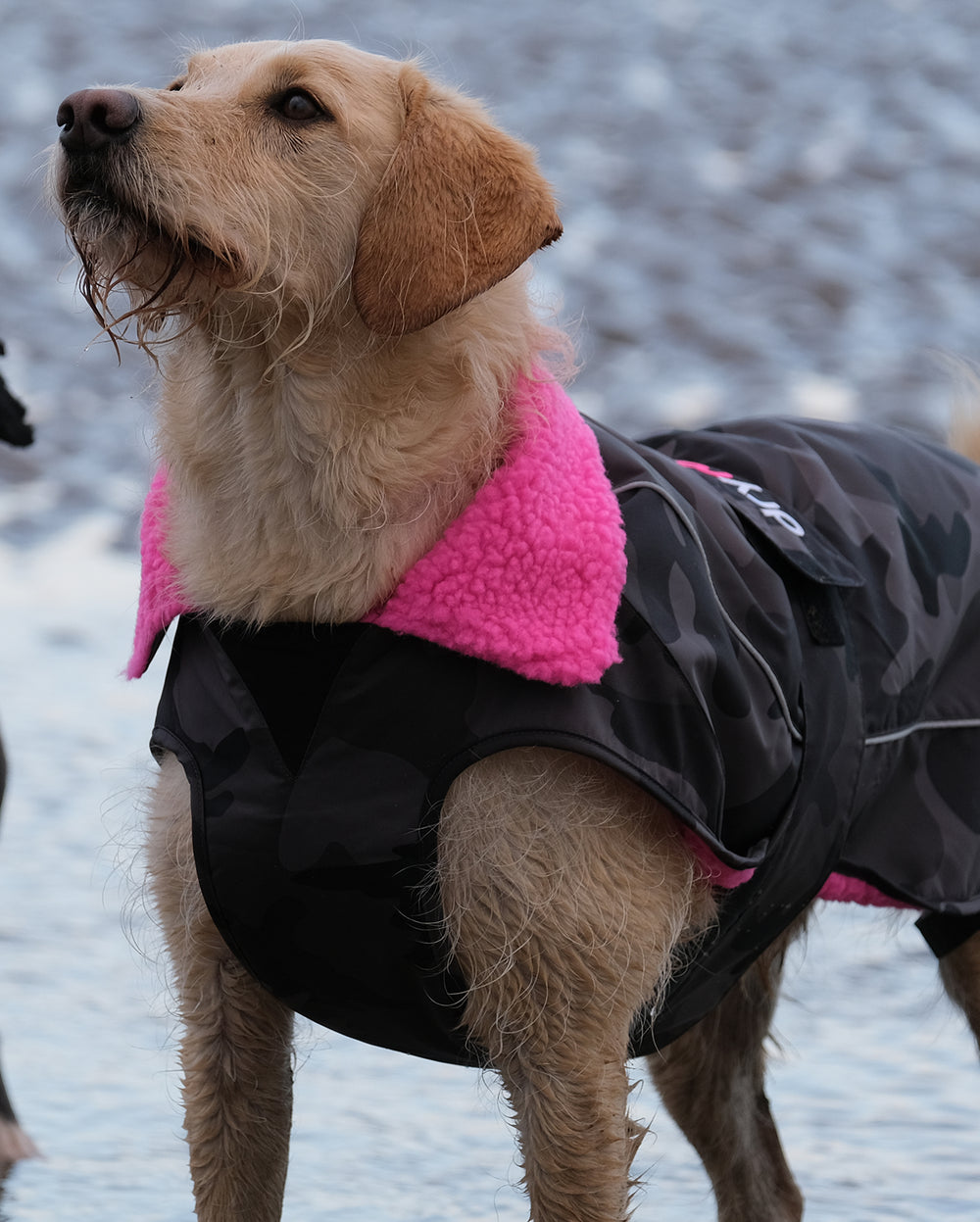 Black Camo Pink Dog Coat | Dryrobe®