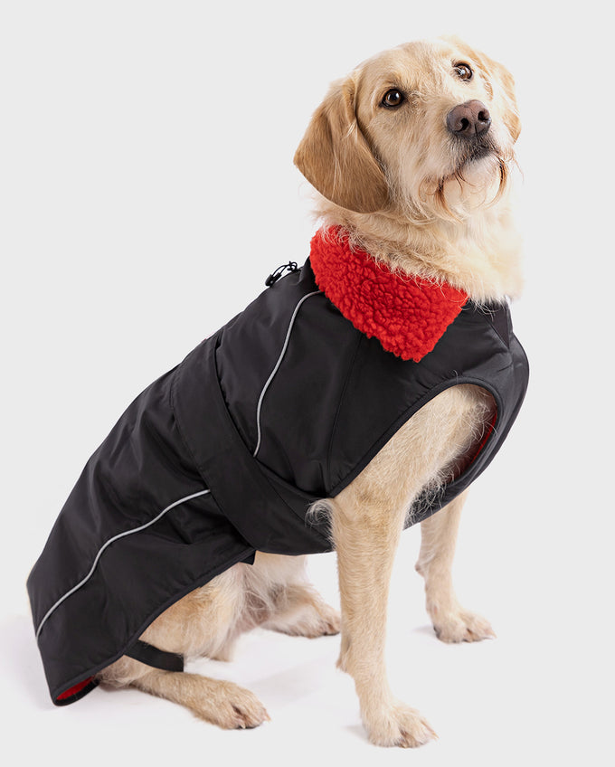 Black Red Dog Coat | Dryrobe®