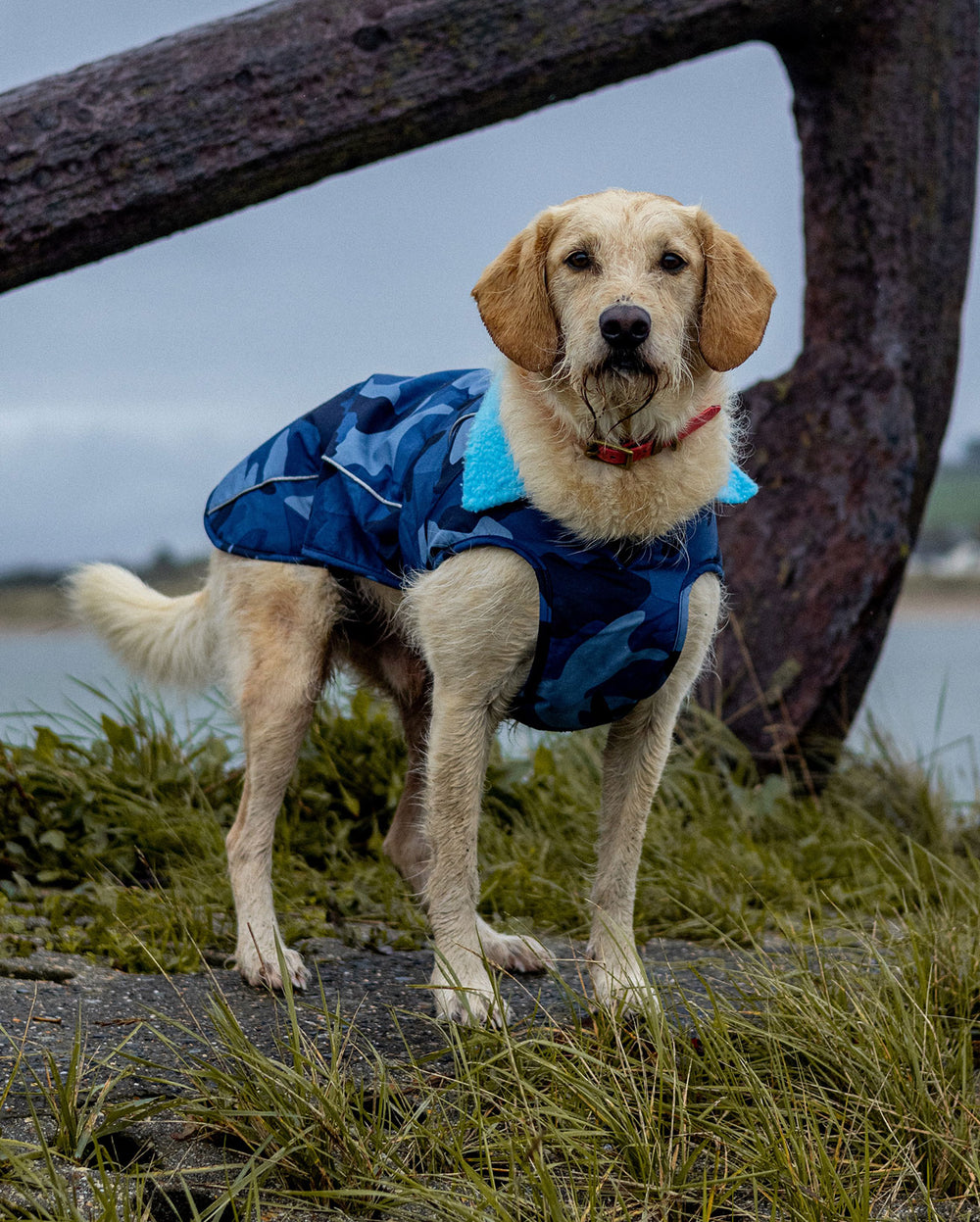 Blue Camo Dog Coat | Dryrobe®